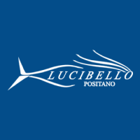 Positano Jet Ferries: Tickets, Offers, Routes | Ferryscanner