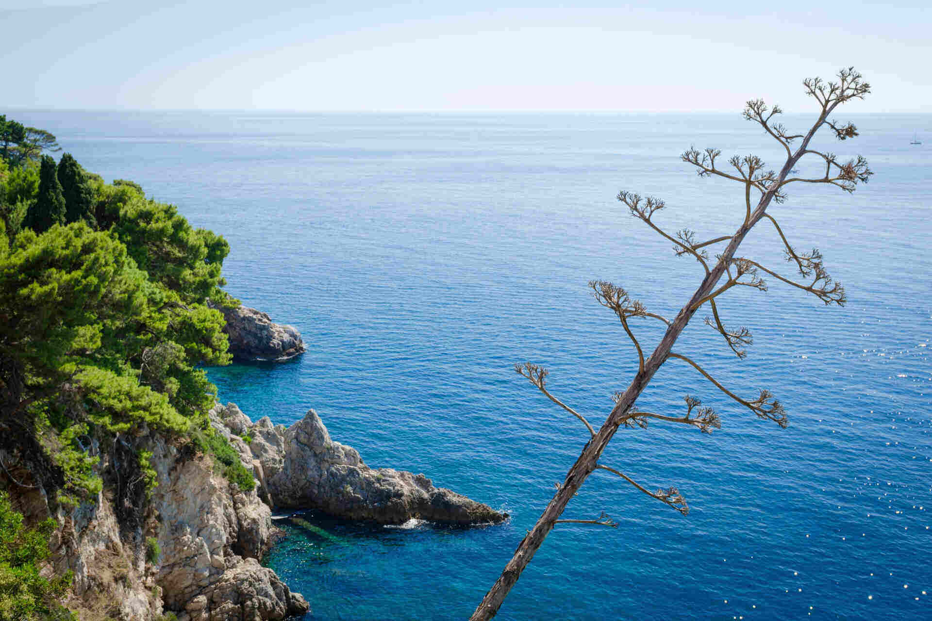 5 Small Italian Islands for a Perfect Summer Escape | Ferryscanner