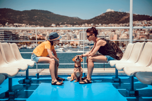Pet Travel Guide | Ferryscanner