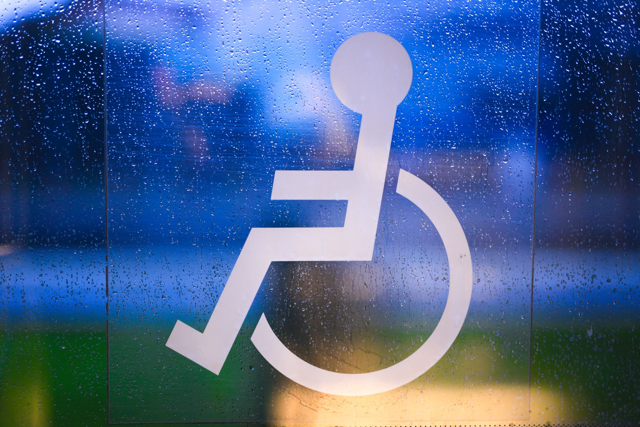 Digital Disability Card: Everything You Need to Know | Ferryscanner