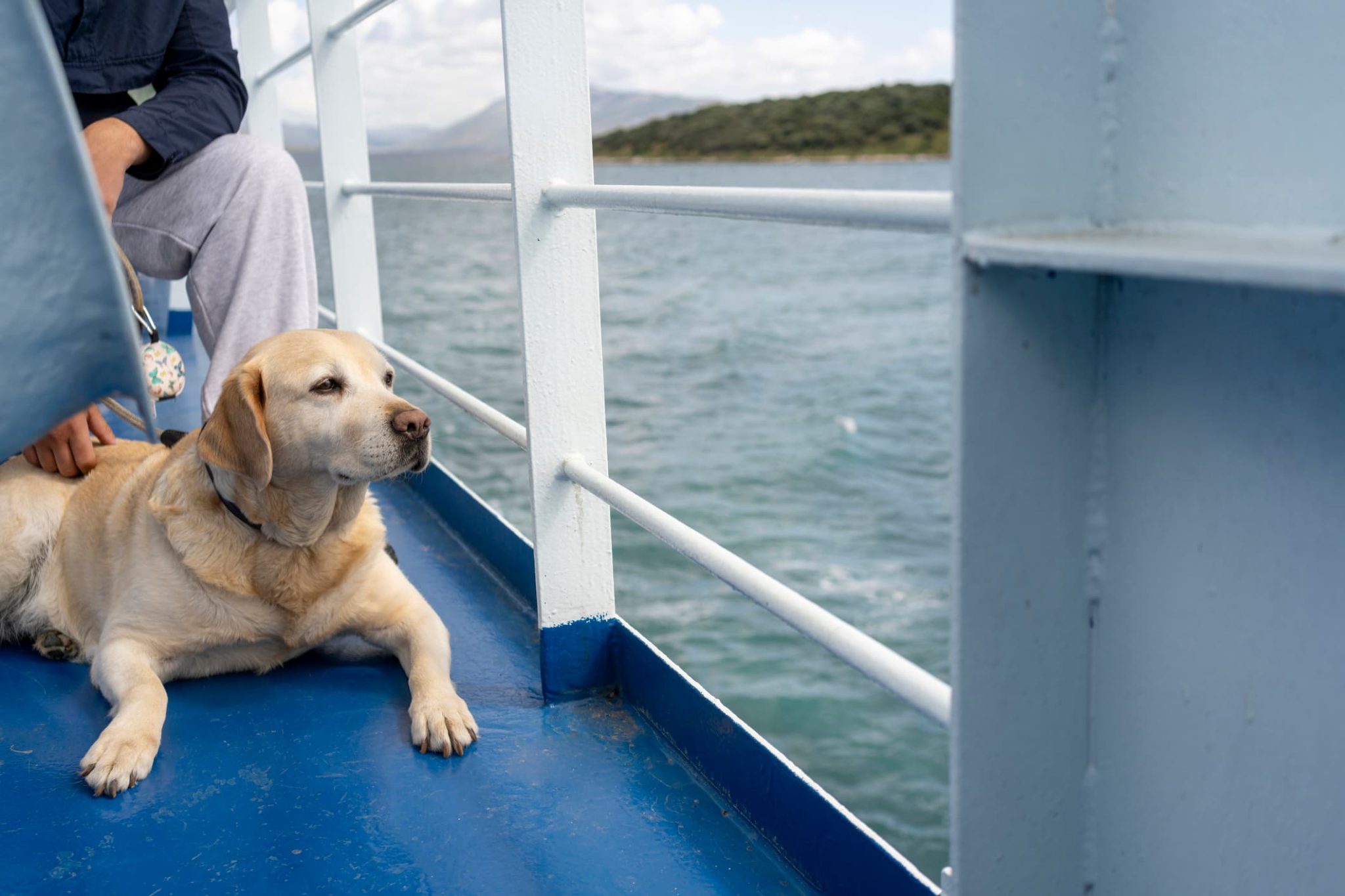 Ferries from UK to Ireland: Routes, Tickets and Departures